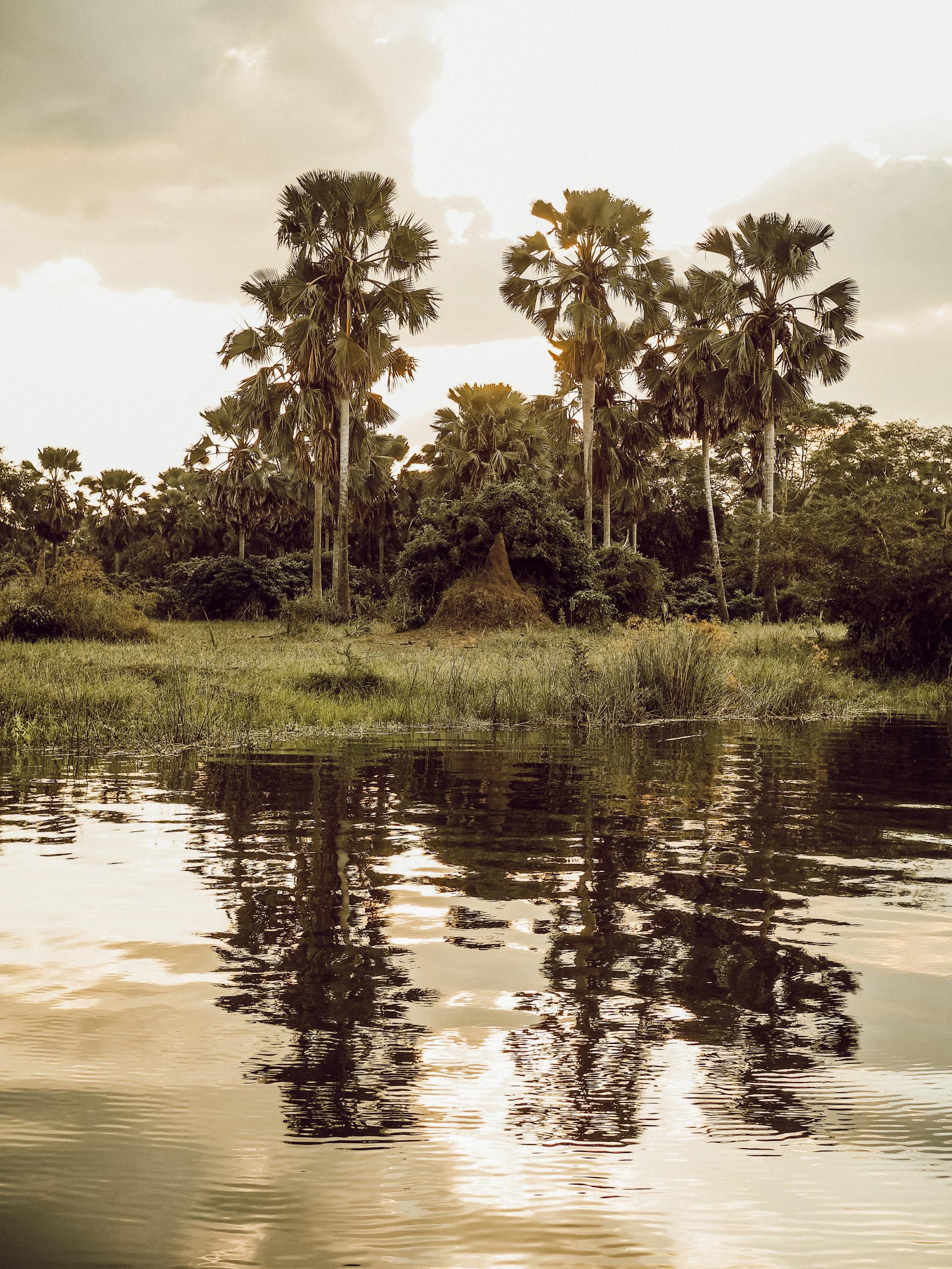 Liwonde National Park: How I Fell Back in Love with Mother Nature ...